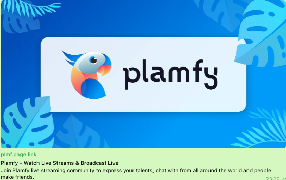 Referral program at Plamfy – Plamfy